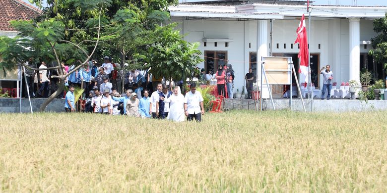 Berita Terkini Harian Energi Terbaru Hari Ini - Kompas.com
