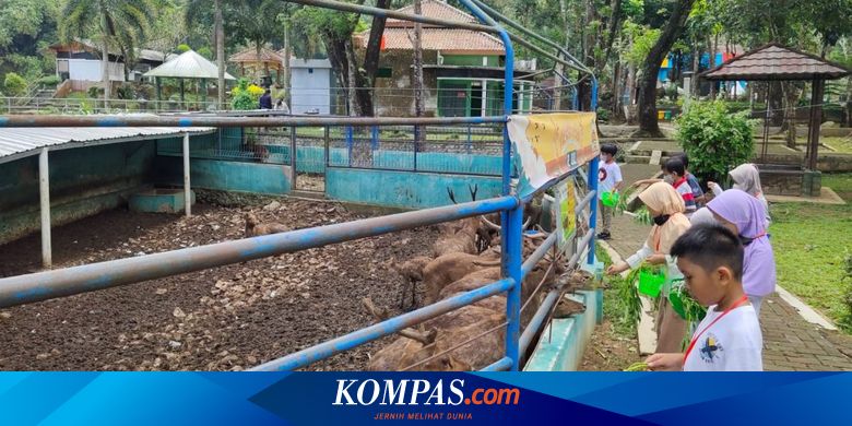 Trms Serulingmas Banjarnegara: Daya Tarik, Harga Tiket, dan Jam Buka