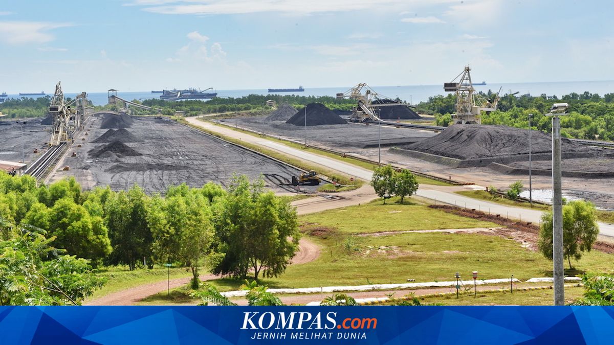 BUMI Umumkan Susunan Direksi dan Komisaris Terbaru Usai RUPSLB