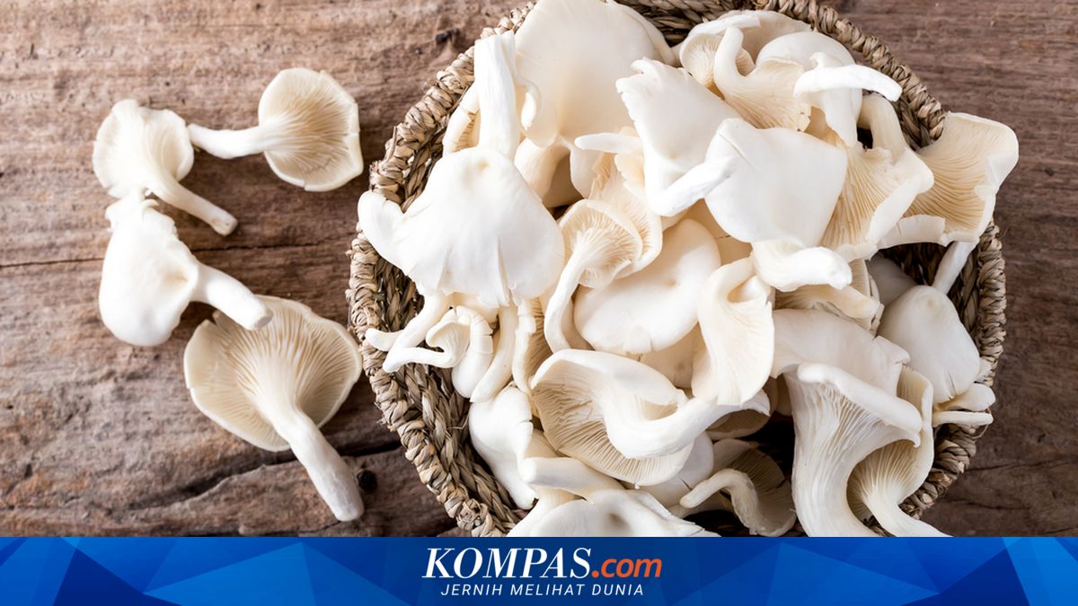 Cara Bikin Kaldu dari Jamur Tiram, Gurih Alami Tanpa MSG