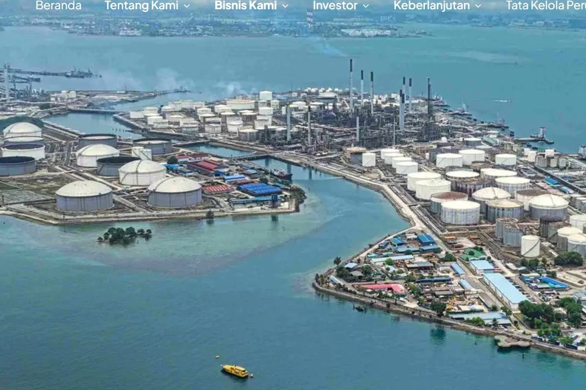 Apa Bisnis PT Chandra Daya Investasi Tbk Milik Prajogo Pangestu?