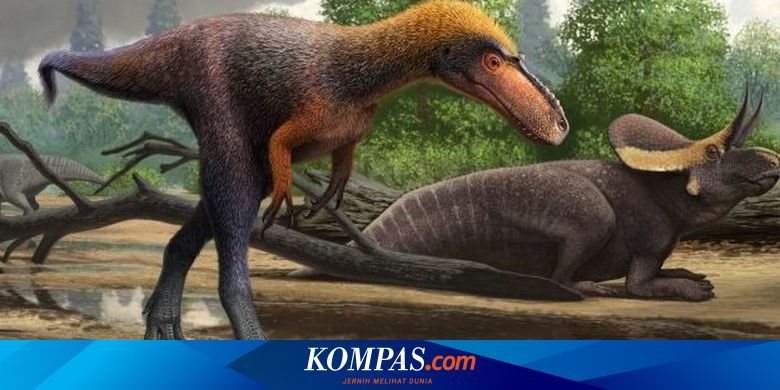 Ini Sepupu T-Rex, Bobotnya Cuma 40 Kilogram dan Tingginya 1 Meter