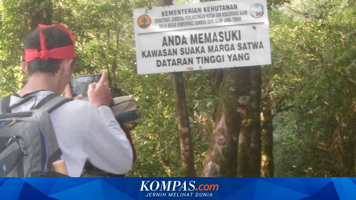 BKSDA Jatim Larang Pendakian "Tektok" di Gunung Argopuro: Normalnya ...