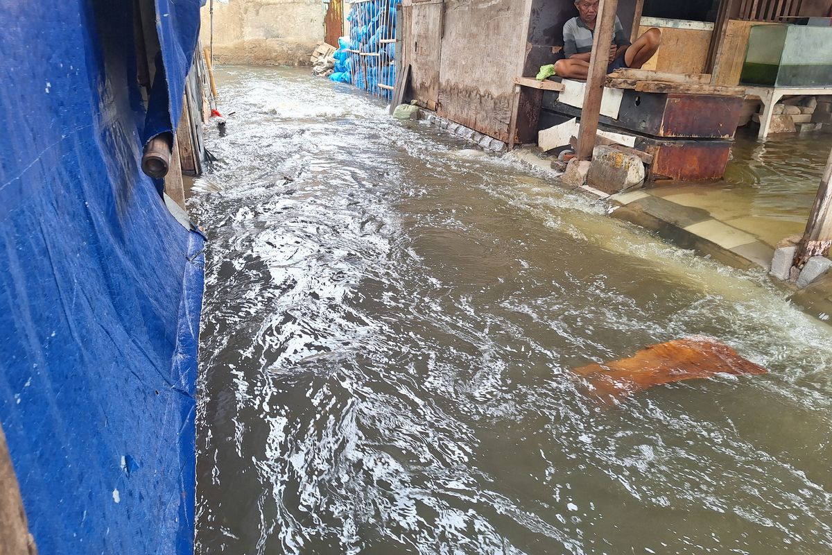 Banjir Rob Kembali Rendam Muara Angke, Ketinggian Air Capai 50 Cm