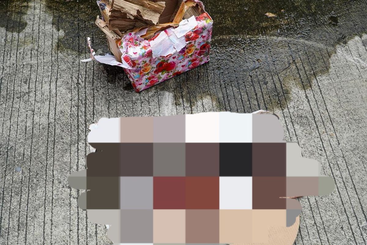 Tempo Diteror Kepala Babi dan Bangkai Tikus, Amnesty International ...