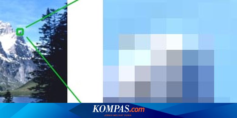 Apa yang Dimaksud Bitmap dalam Desain Grafis