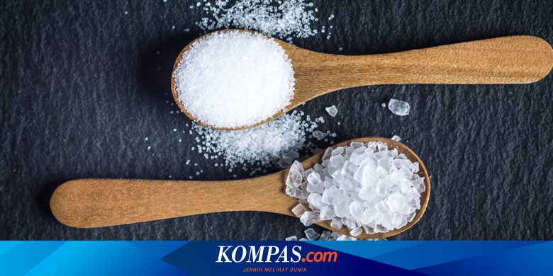 Berita Harian Stacy-Sims Terbaru Hari Ini - Kompas.com