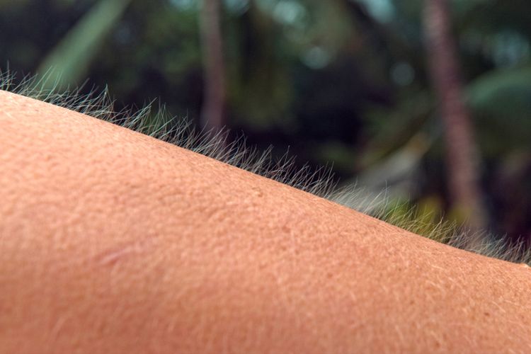 Foto : Penjelasan Ilmiah Merinding dan Penyebabnya