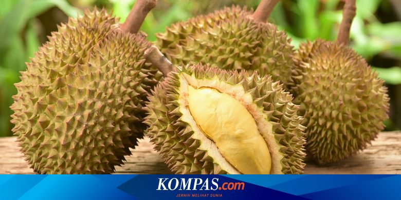 7 Manfaat Durian bagi Kesehatan, Apa Saja?