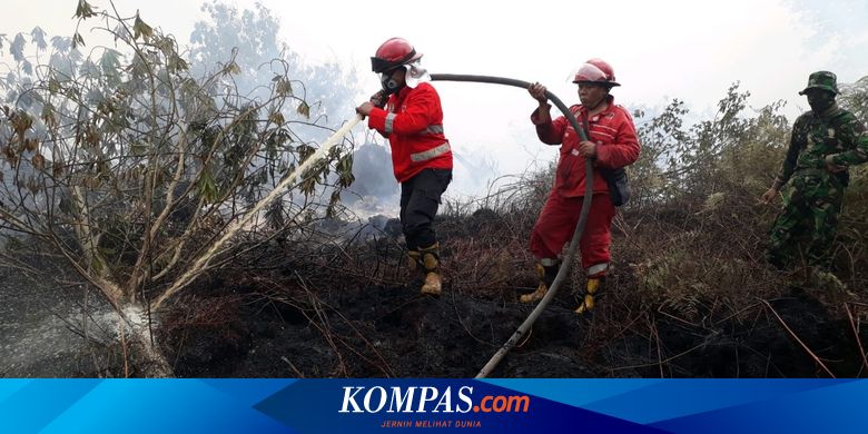 Kebakaran Hutan dan Lahan di Perbatasan Dumai-Bengkalis Riau ...