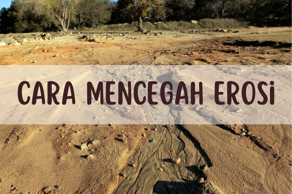 7 Cara Mencegah Erosi