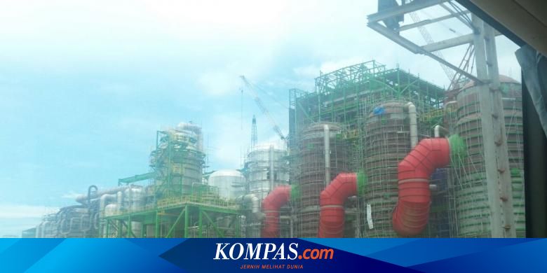 Pabrik Baru Milik Sinar Mas Bakal Ekspor 3 Juta Ton Pulp dan Kertas Per ...