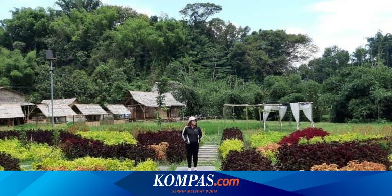 Daya Tarik dan Atraksi di Desa Wisata Randugede Magetan