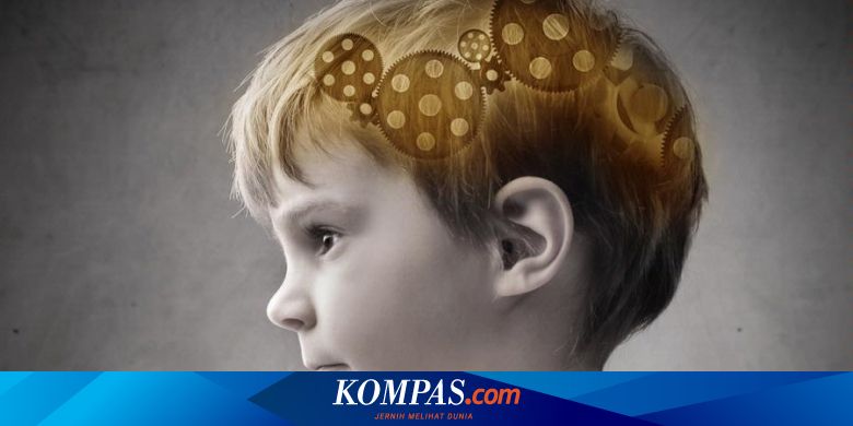 Tes STIFIn, Cara Mengenali Potensi Anak dari Otak Paling Dominan