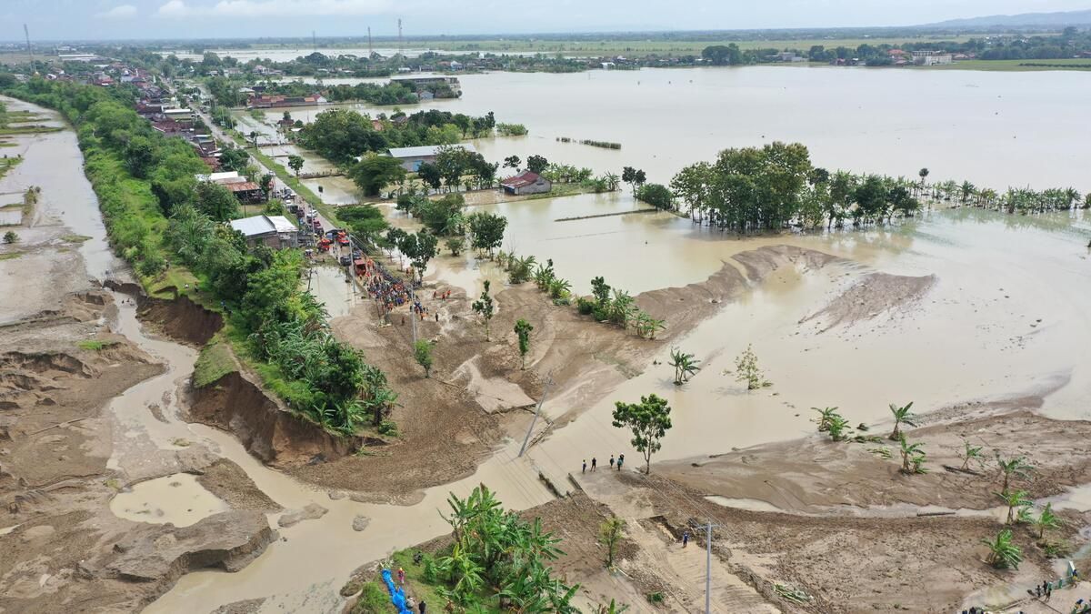 42 Desa di Grobogan Terdampak Banjir, Ribuan Hektare Sawah Terancam ...