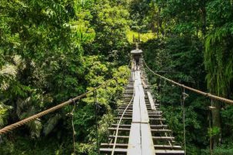 Tangkahan, Keindahan Tersembunyi di Sumatera Utara