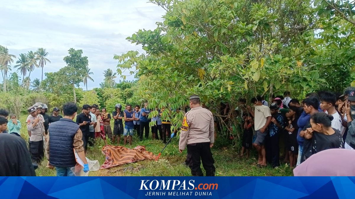 2 Minggu Hilang di Hutan, Nenek di Halmahera Selatan Ditemukan Tak Bernyawa