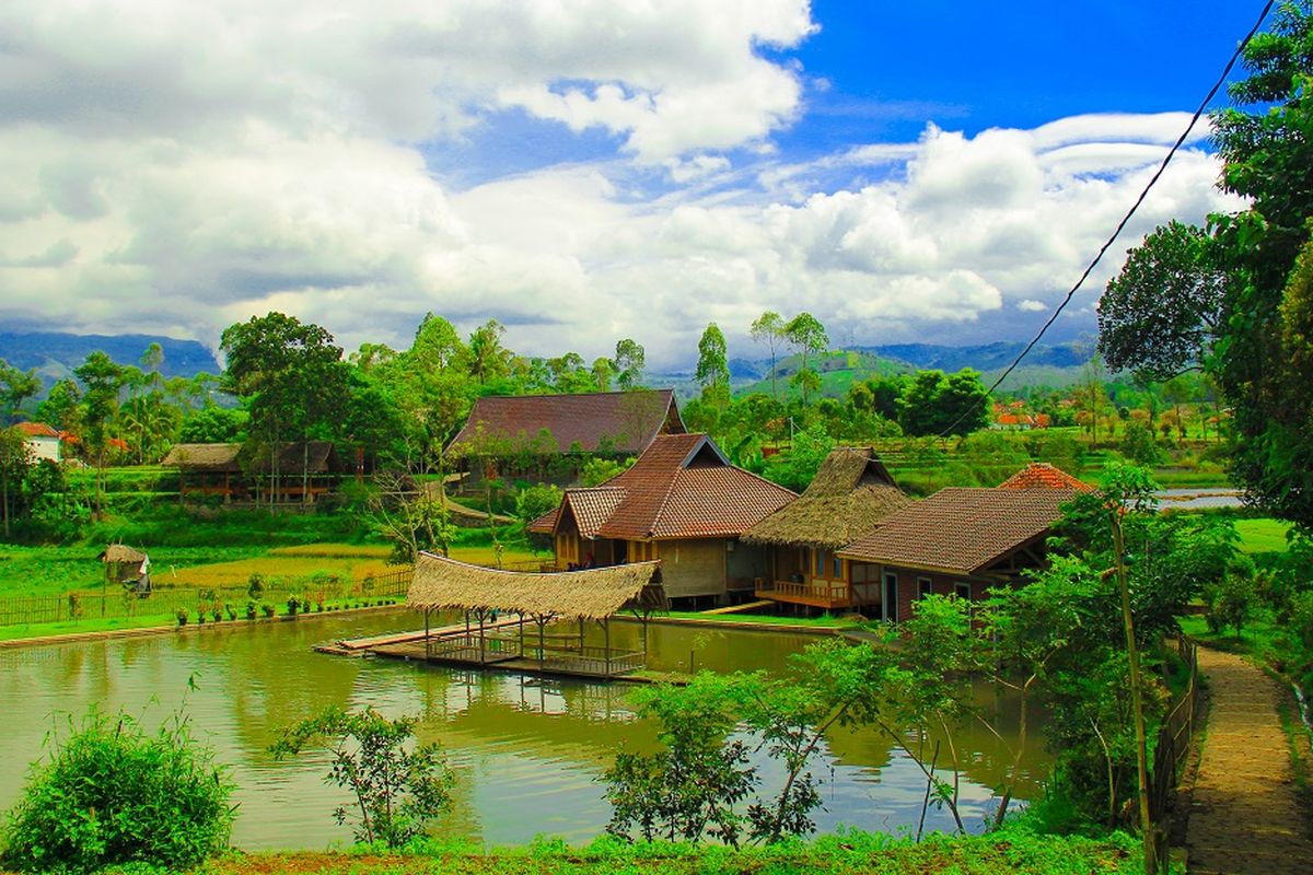Aktivitas Wisata di Desa Wisata Saung Ciburial, Ada Matador Domba
