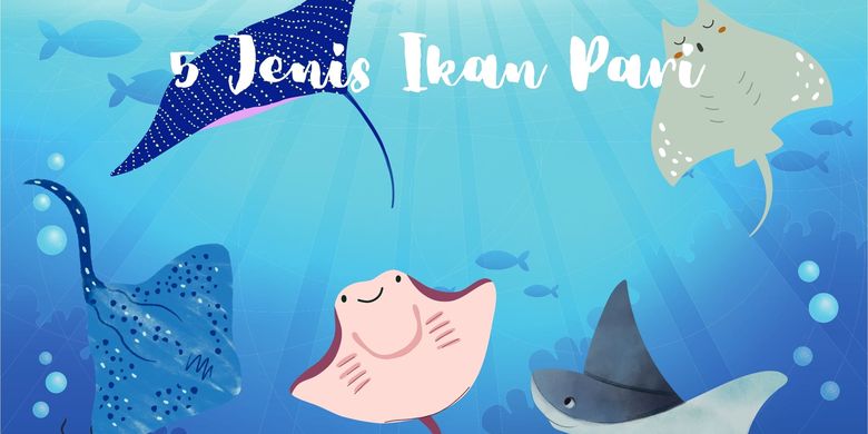 5 Jenis Ikan Pari di Dunia