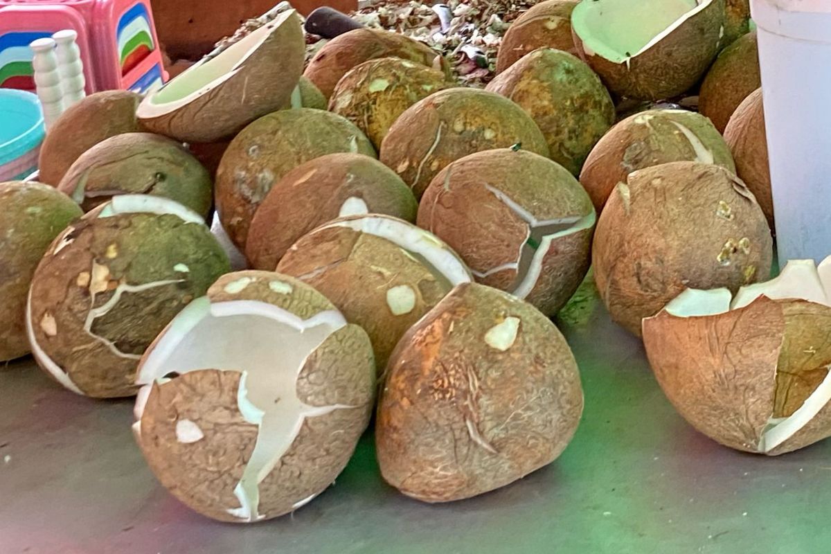 Kelapa Mahal, Warga Akali dengan Beli Setengah Butir lalu Ditambah Air