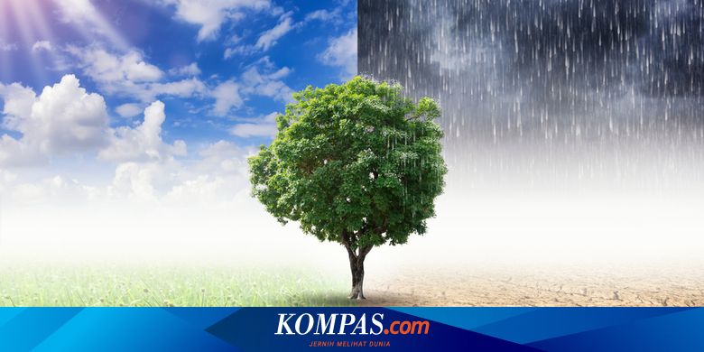 3 Jenis Iklim di Indonesia: Iklim Tropis, Iklim Muson, dan Iklim Laut