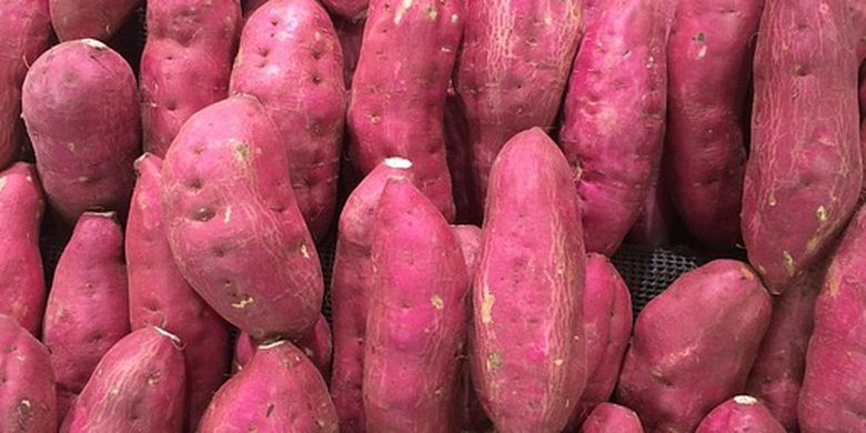 Tips Merawat Tanaman Ubi Ungu agar Umbinya Besar