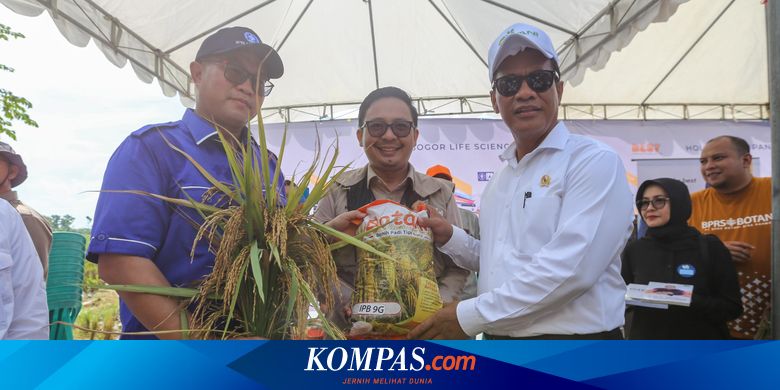 IPB Kembangkan Padi 9G, Mentan Amran: Kami Akan Kembangkan