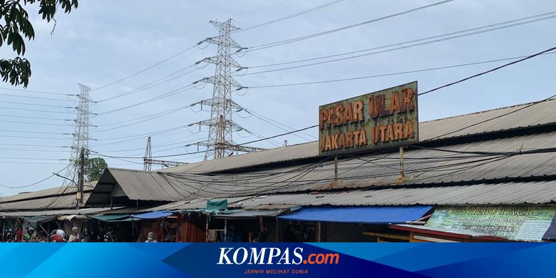 Ada Dua Pasar Ular di Jakarta Utara, Apa Bedanya?