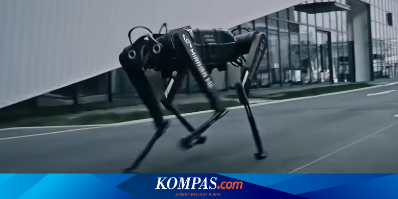 Robot Kaki 4 China Bisa Lari Sekencang Manusia Tercepat di Dunia