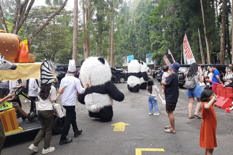 Foto : HUT Ke-80 RI, Taman Safari Bogor Gelar Parade Gajah dan Onta
