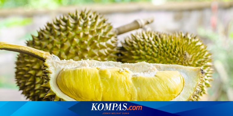 Durian Super Tembaga Klamunod dari Bangka Belitung, Punya Peluang Ekspor