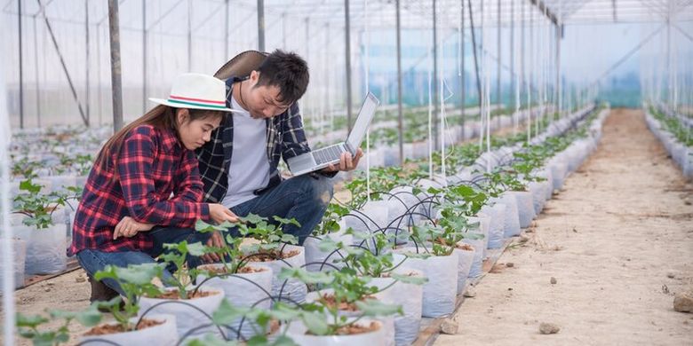 Berita Terkini Harian Contoh Urban Farming Terbaru Hari Ini - Kompas.com