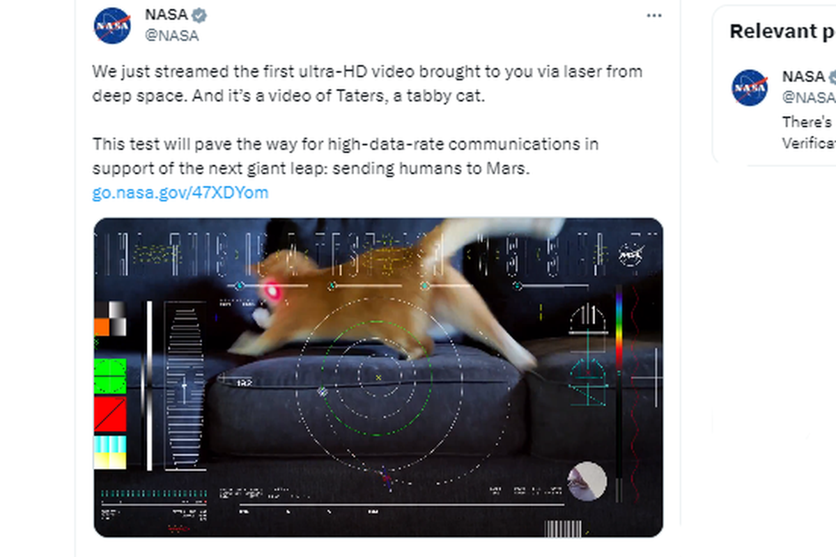 NASA Siarkan Video Pertama dari Luar Angkasa, Dibintangi oleh Kucing ...