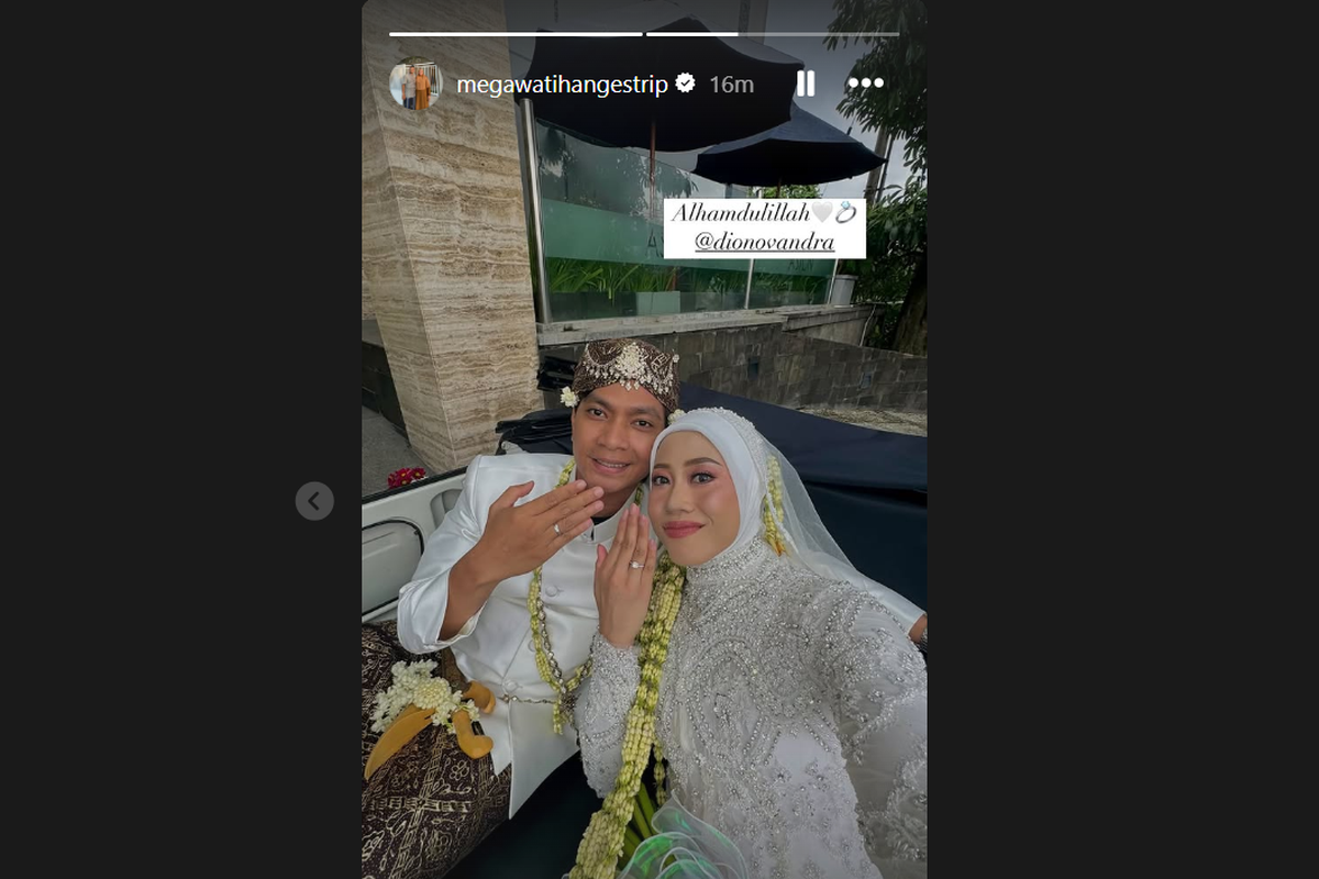 Siapa Dio Novandra, Resmi Menikah dengan Atlet Voli Megawati Hangestri?