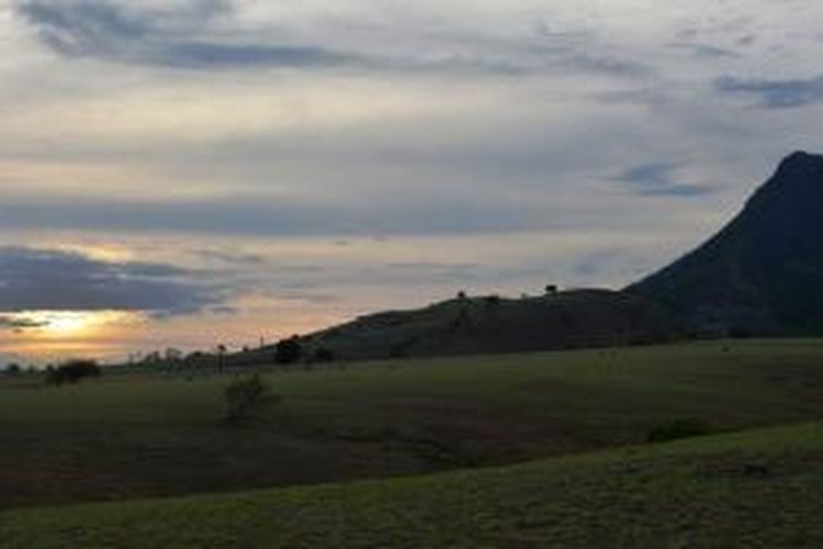 Mengagumi Keindahan Padang Sabana Mausui di Flores