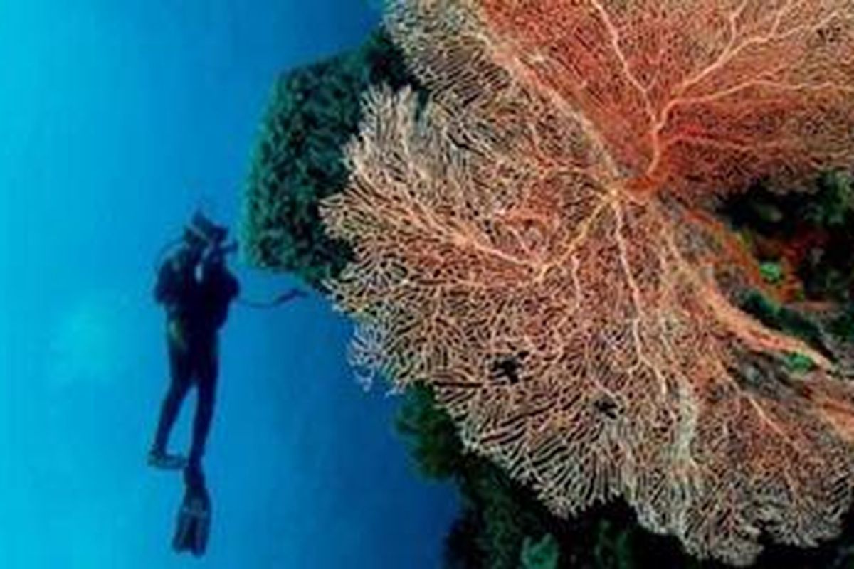 Bandara Matahora Tingkatkan Kunjungan Wisata ke Wakatobi