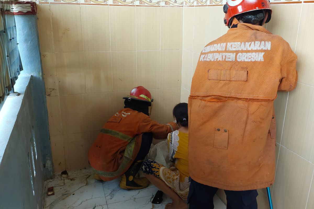 Pakai Mobil "Semprot" dan APD, Petugas Damkar Gresik Tangkap Monyet ...