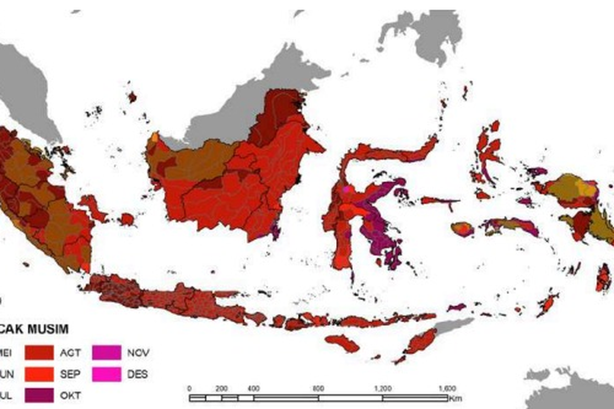 6 Wilayah Indonesia yang Masuk Puncak Musim Kemarau Juni 2025, Mana Saja?