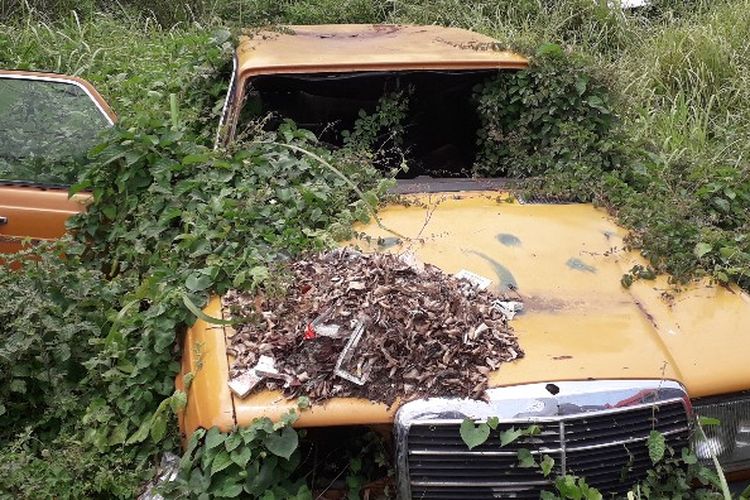 Menengok "Kuburan" Mobil di Terminal Rawa Buaya