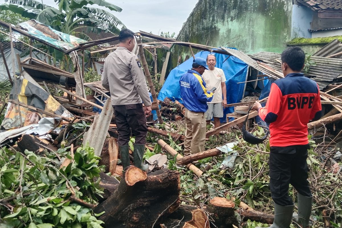 Hujan Lebat Disertai Angin Kencang, 2 Pohon Mangga Roboh Timpa Rumah di ...