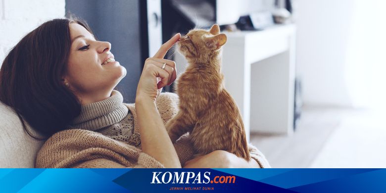 5 Cara Menunjukkan Kasih Sayang kepada Kucing