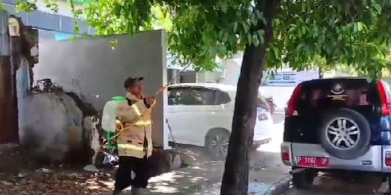 Berita Terkini Harian Wabah Ulat Bulu Di Banyuwangi Terbaru Hari Ini ... Berita Terkini Harian Wabah Ulat Bulu Di Banyuwangi Terbaru Hari Ini ...