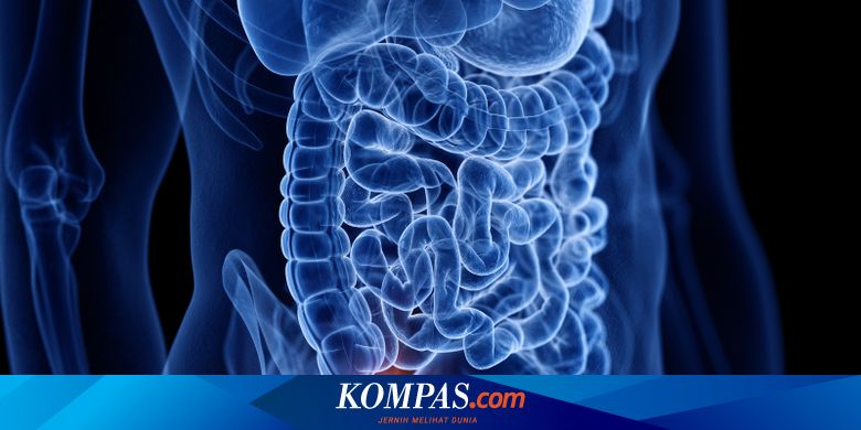 8 Tips Pemulihan setelah Operasi Usus Buntu