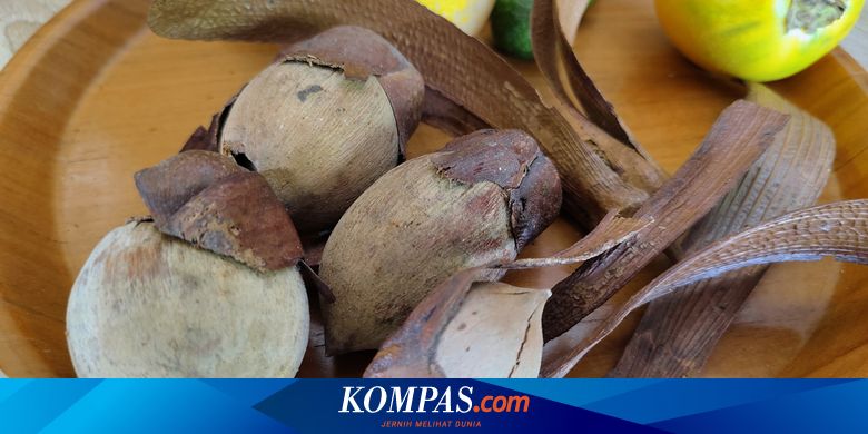 Apa itu Buah Tengkawang yang Bisa Jadi Pengganti Butter?