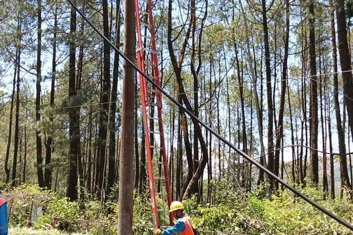 Pohon Tumbang Timpa Tiang Listrik, Ibun Bandung Padam