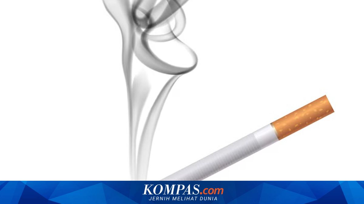 Jumlah Perokok di Indonesia Capai 70 Juta, Perlu Strategi Pengurangan ...