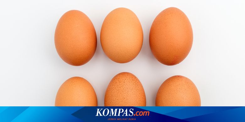 Apa Itu Telur Infertil?