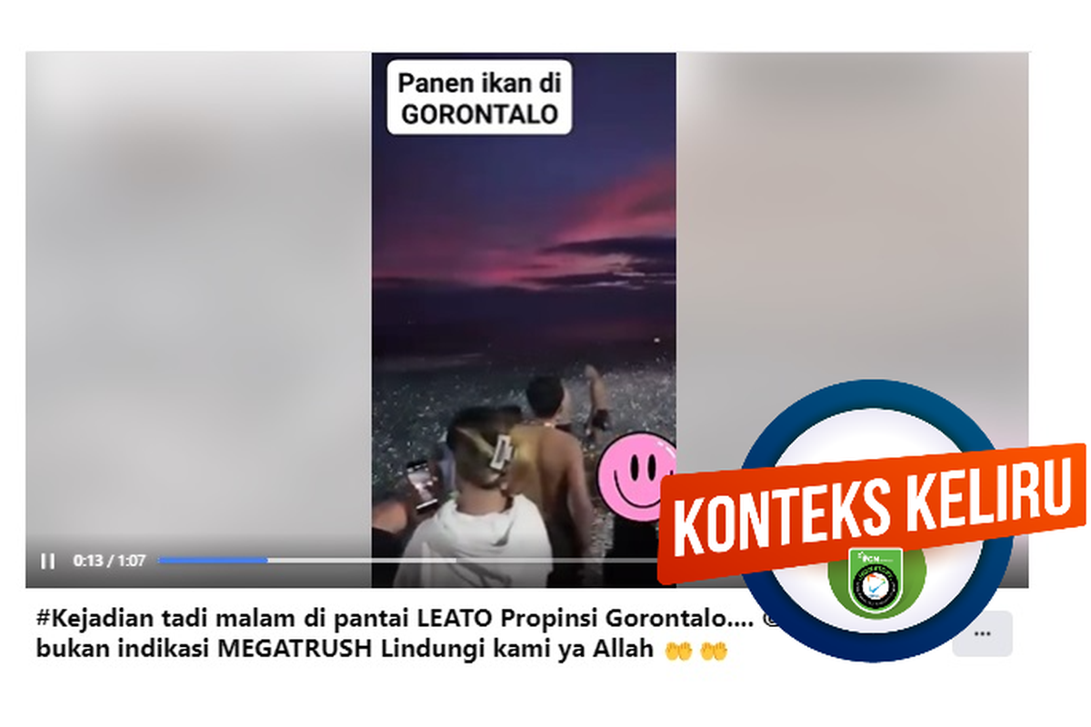 [VIDEO] Fenomena Ikan Naik ke Daratan Terjadi di Filipina, dan Bukan ...