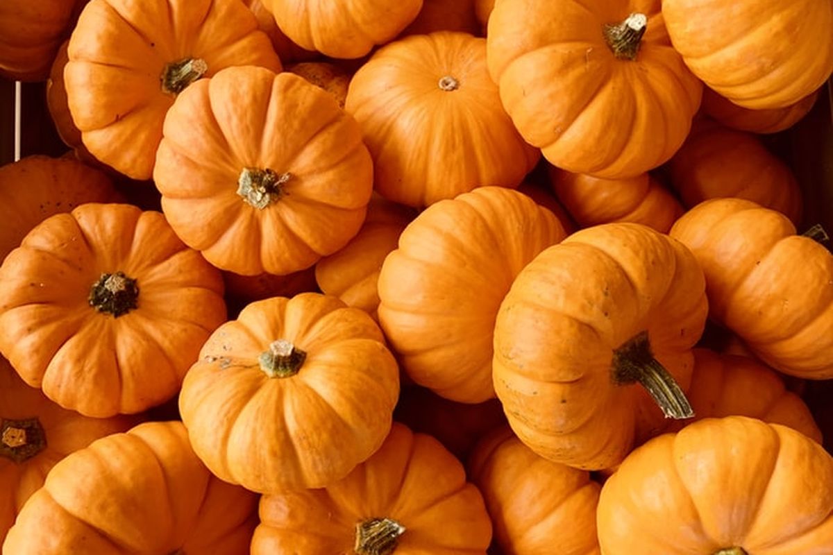 5 Jenis Labu untuk Masakan, Tidak Cuma Labu Siam