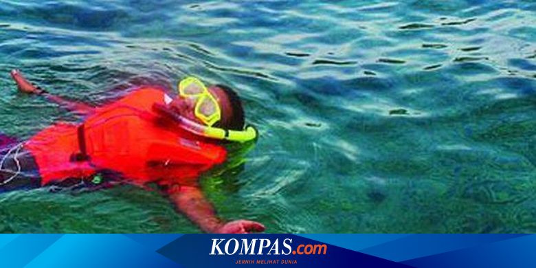 Sail Derawan 2013 Berencana Hadirkan 500 Penyelam Senior